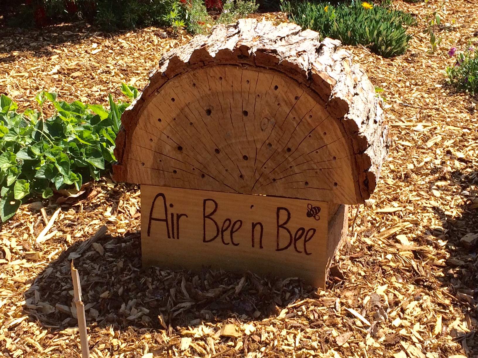 Have you seen a native bee hotel? Installing one in your garden can ...