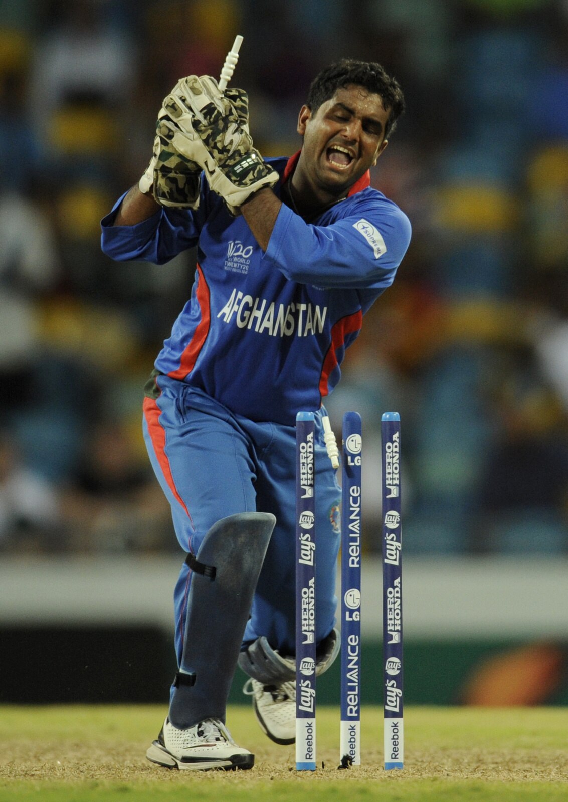 Cricket World Cup: Excitement rises in Canberra ahead of Afghanistan v ...