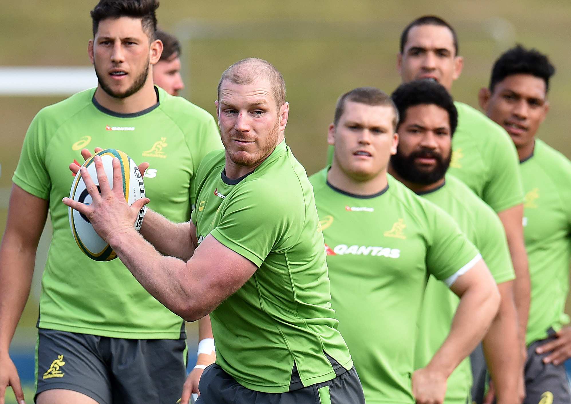 Bledisloe Cup: David Pocock says Wallabies ready to break All Blacks ...