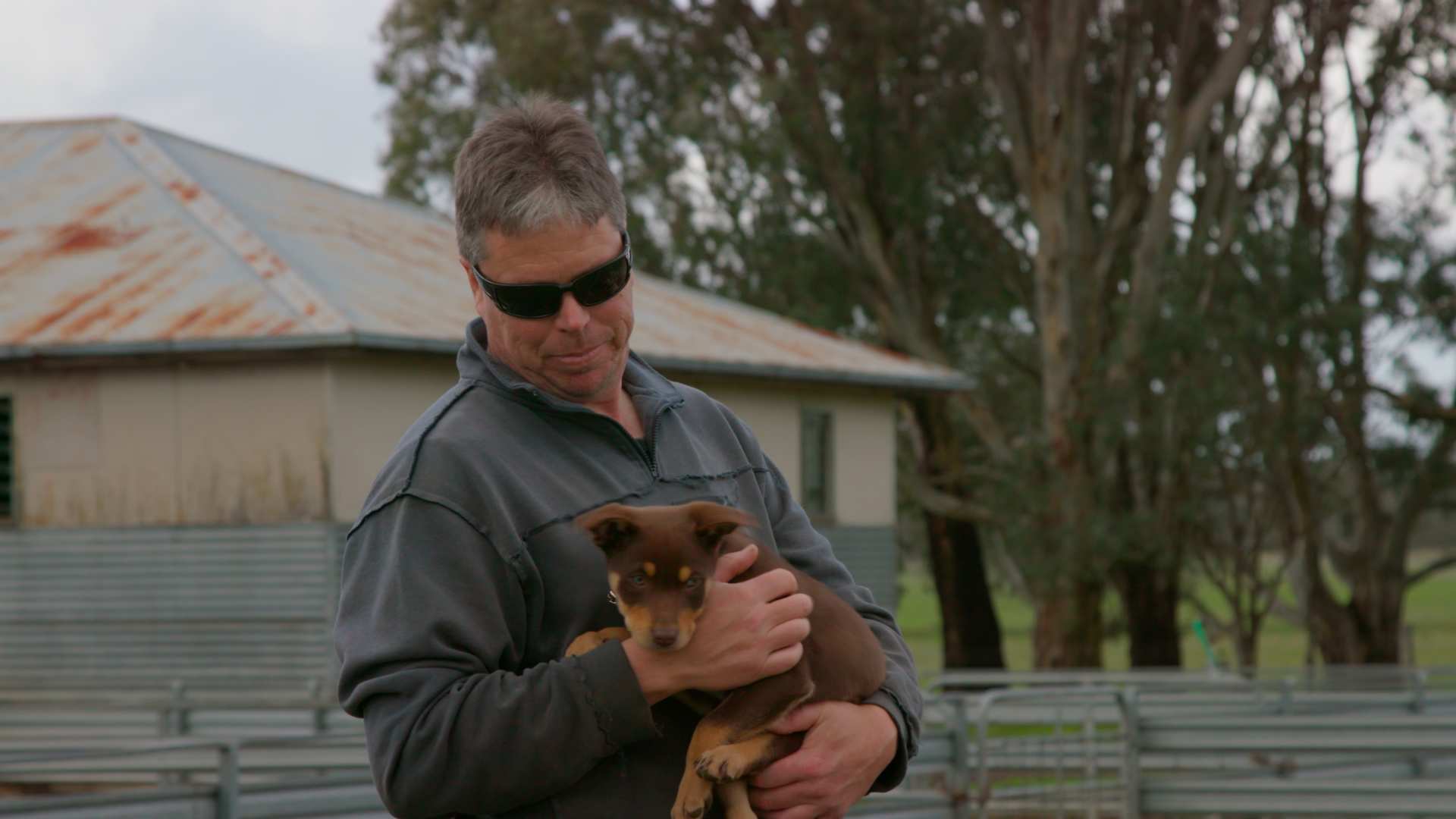 Training a kelpie for ABC TV's Muster Dogs - ABC listen