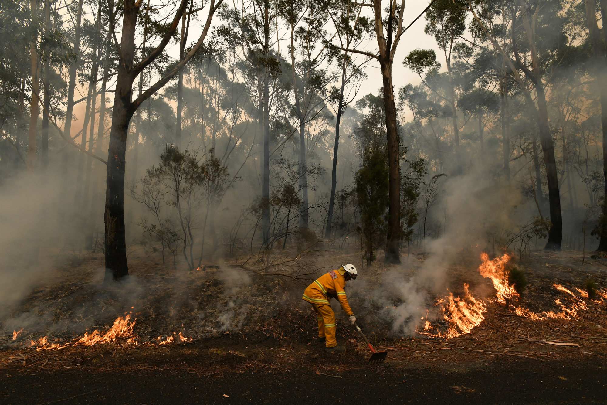 Bushfire crisis will have a ‘significant economic impact’: Frydenberg ...
