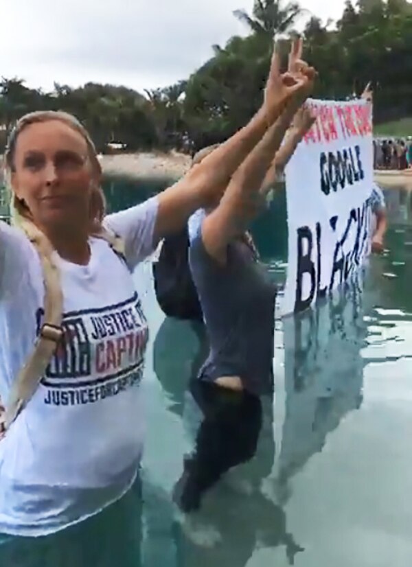 Animal activists bring Sea World dolphin and seal shows to a halt - ABC ...