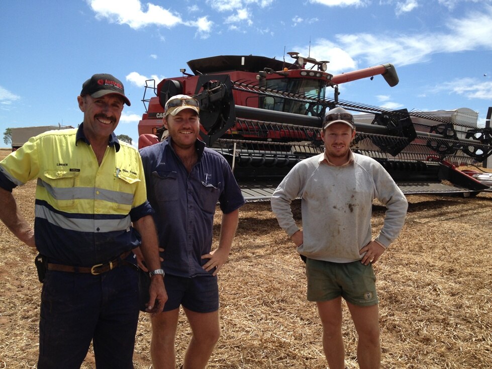 Young farmer gives insight into life on the header - ABC News