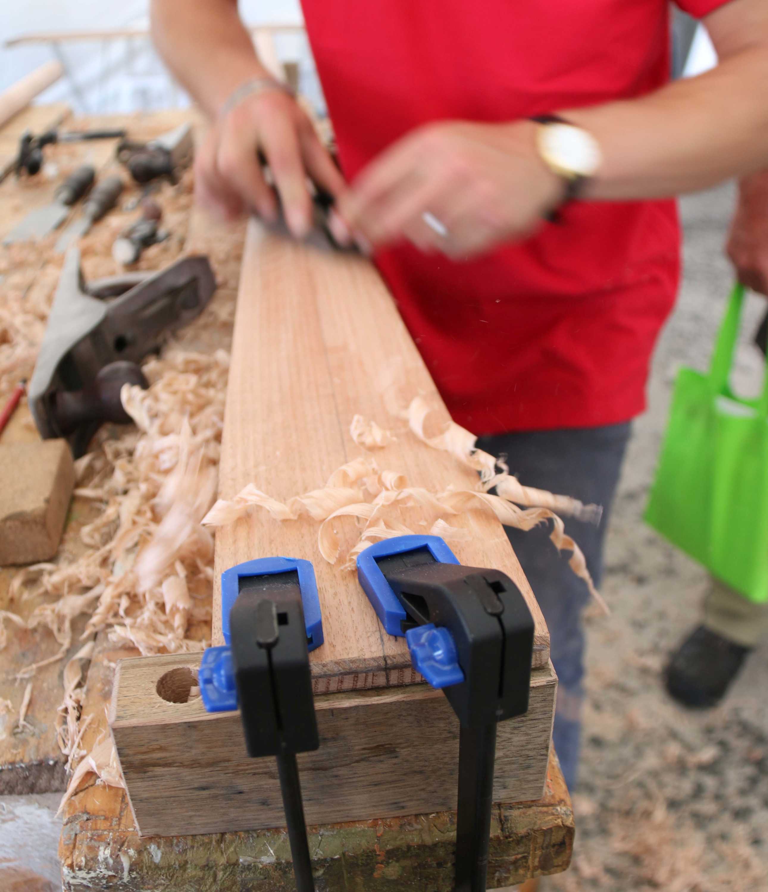 Specialty timber workers' request to access World Heritage forests may ...