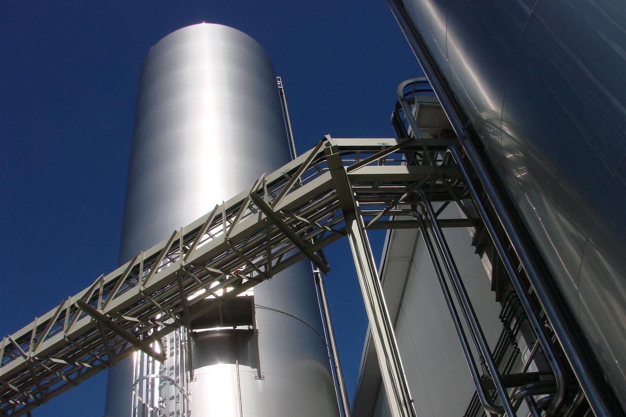 Tasmania's big cheese - ABC News