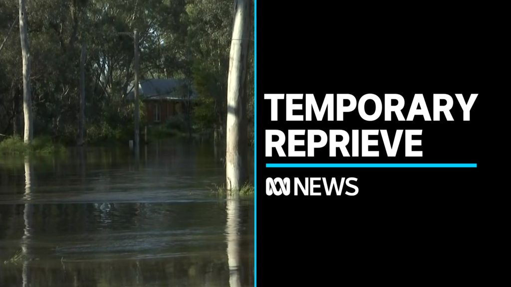 SES update on flood control efforts on both banks of Murray River - ABC ...