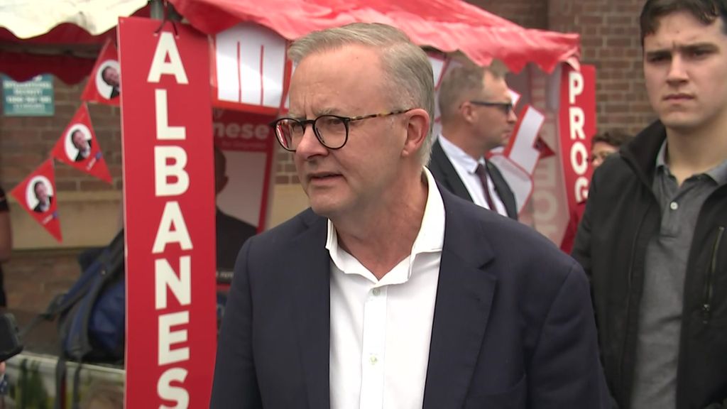 'I'm in it to change the country': Albanese says he has left everything ...