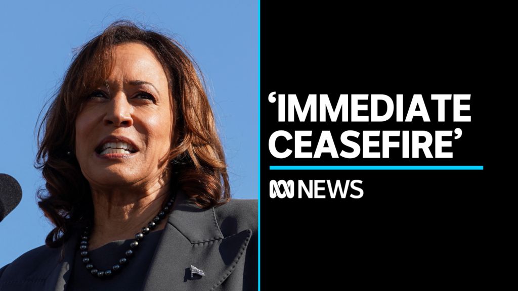 Adelaide woman allegedly ramped for hours with stroke symptoms - ABC News