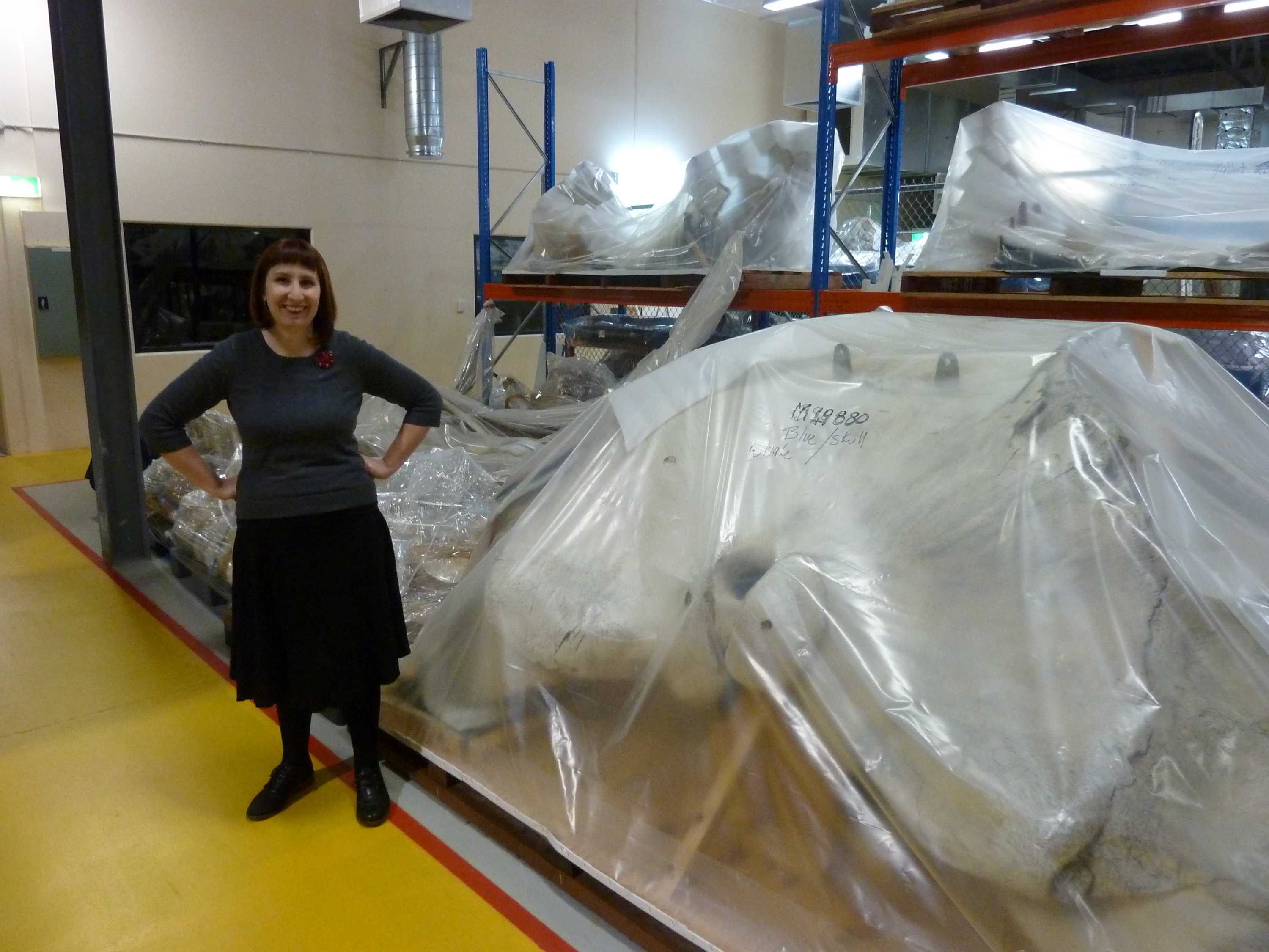 A day in the life of a museum taxonomist - ABC listen