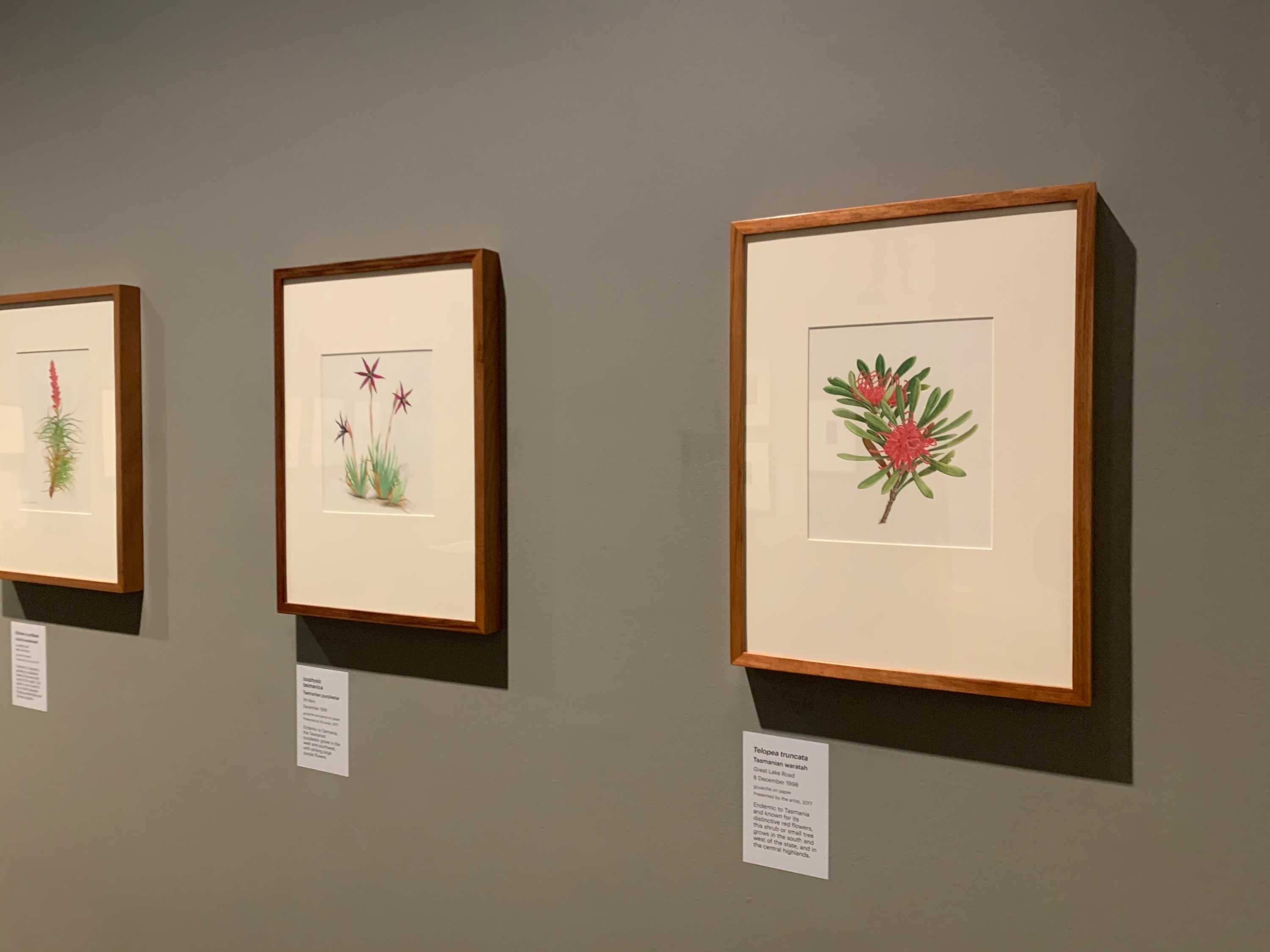 Artist Stephanie Dean has donated over 700 pieces to the Tasmanian ...