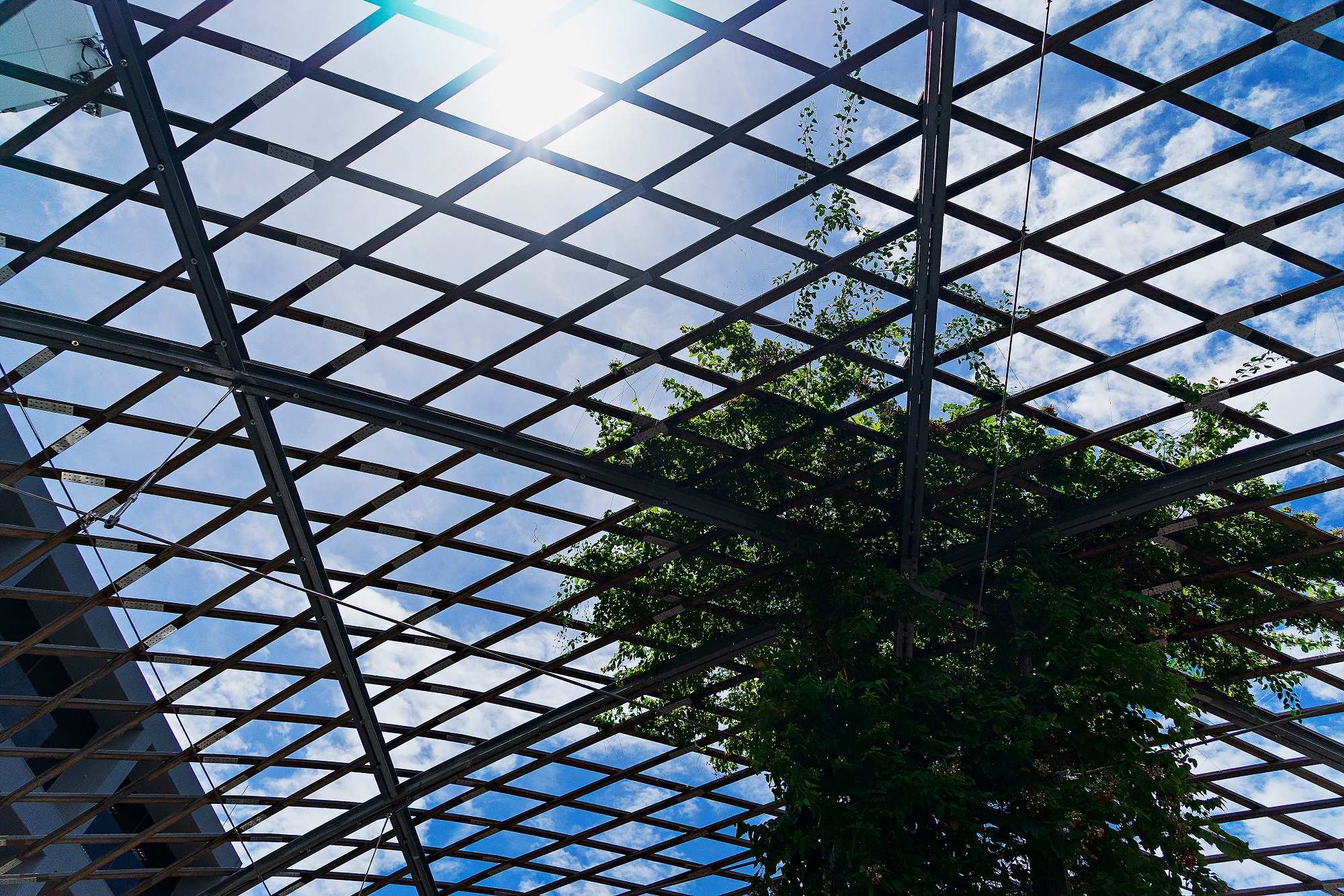 Meet the creator of the Cavenagh St shade structure - ABC listen