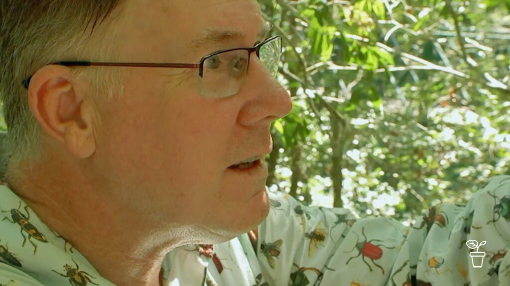 My Garden Path - Robert Whyte - Gardening Australia