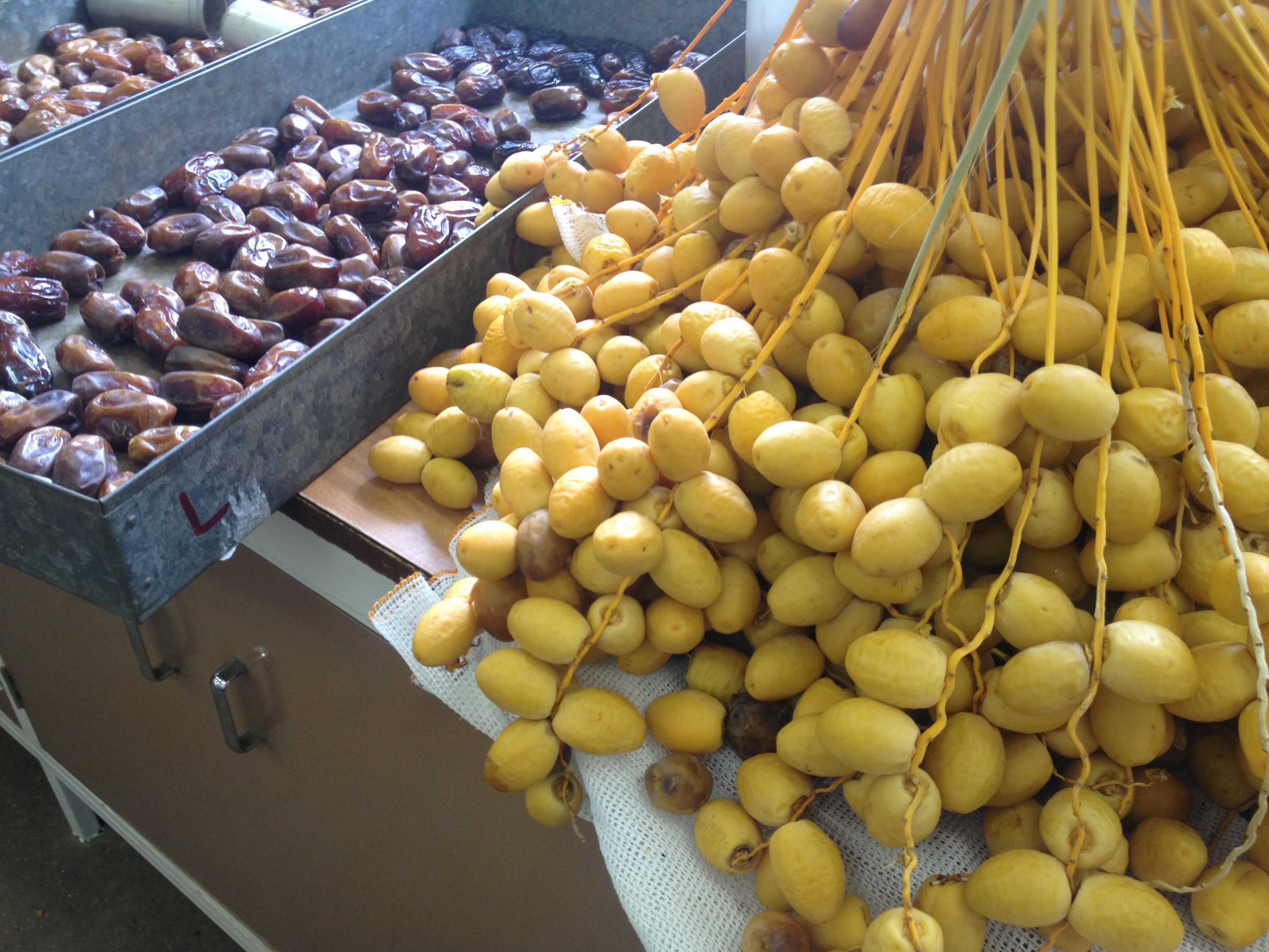 Crunchy date trial results released - ABC News