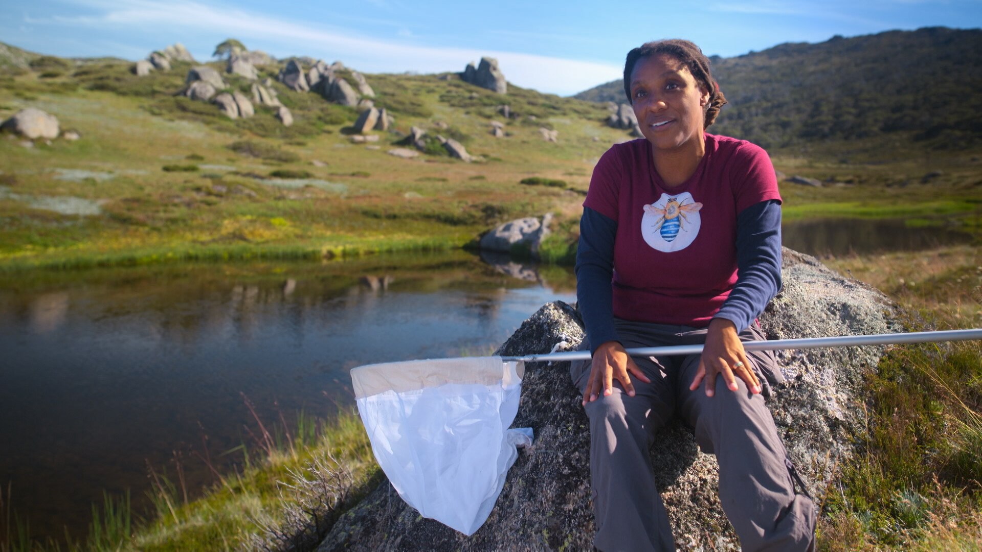 Deep Dive Into Australia's Wild Odyssey: Ecosystems and our changing ...