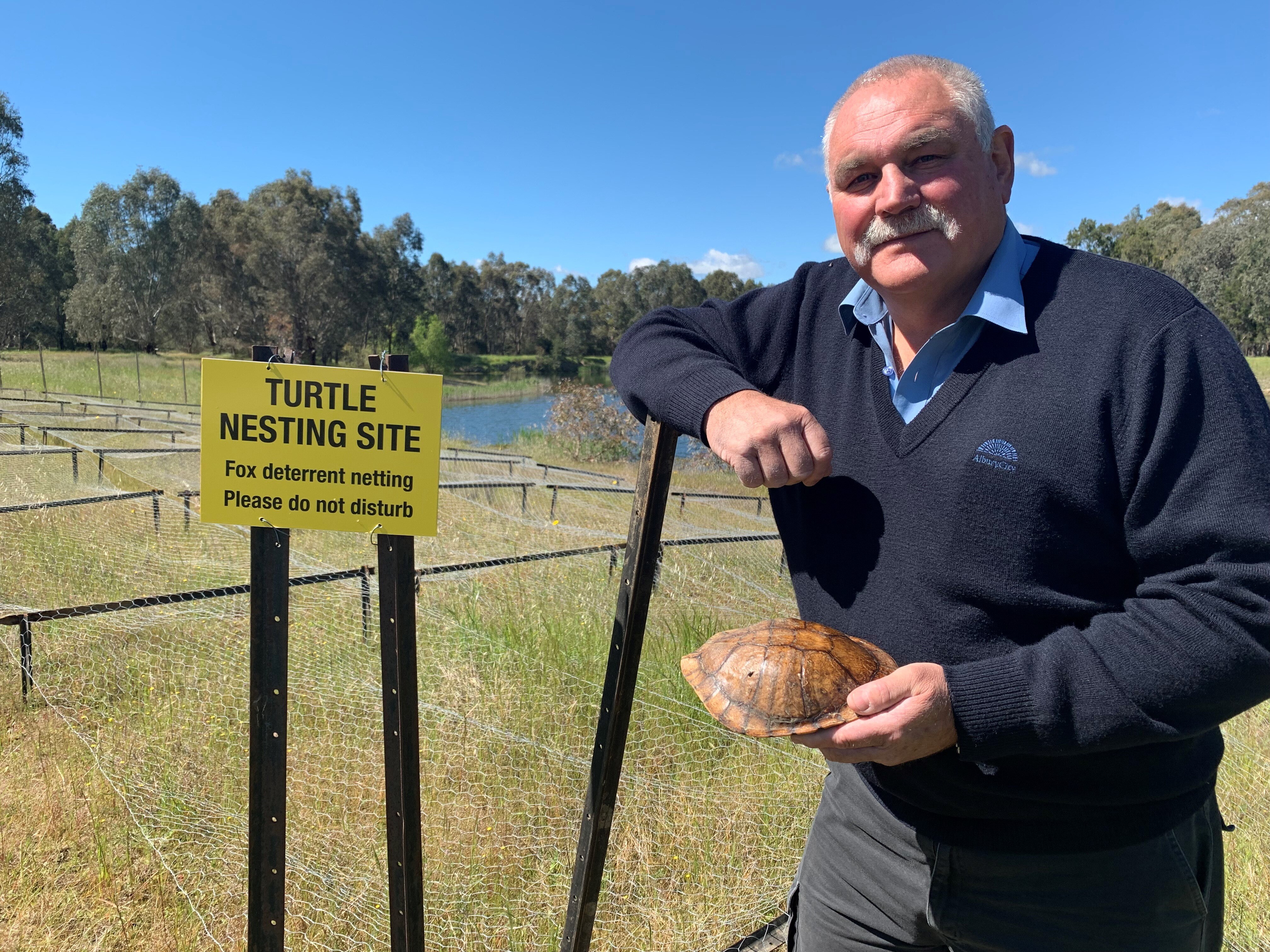 Turtle nests at Wonga Wetlands given extra protection from hungry foxes ...