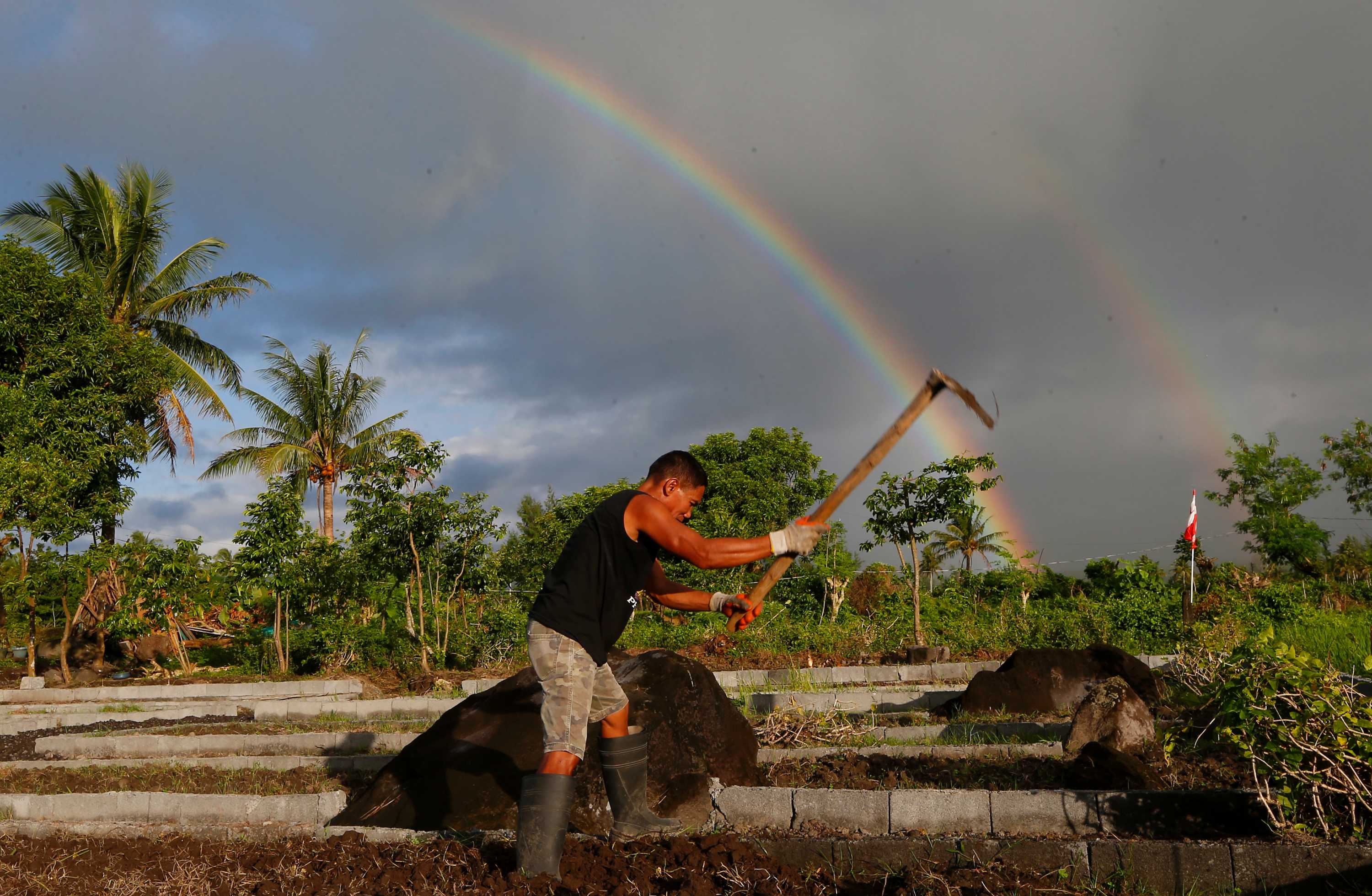 Philippines warned of mudslides as Mount Mayon volcano spews lava amid ...