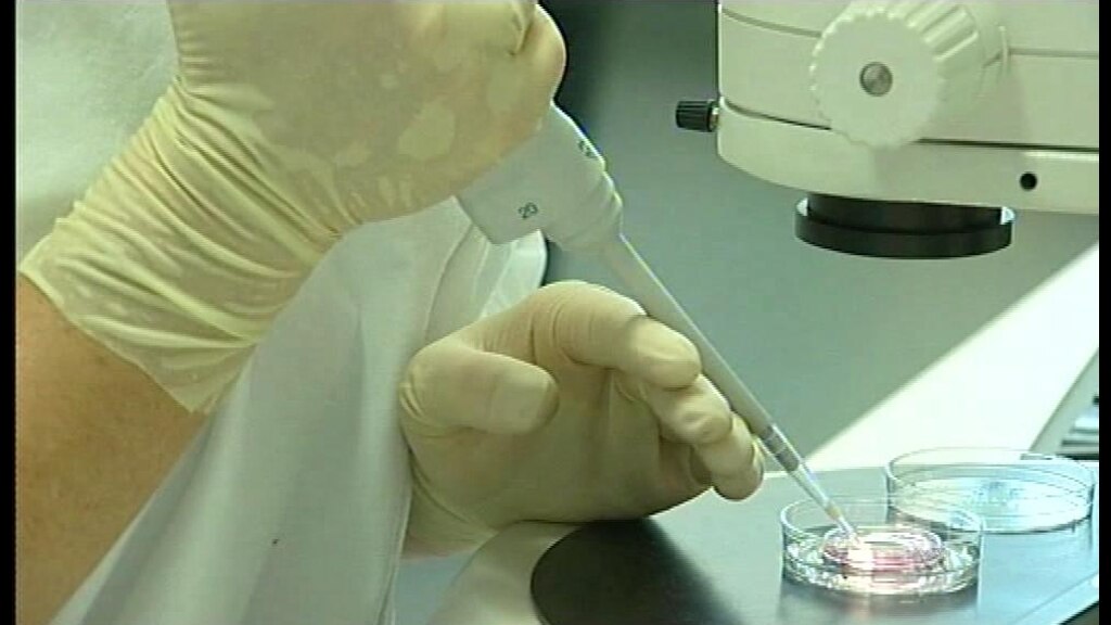 Jessica Brown - ABC News