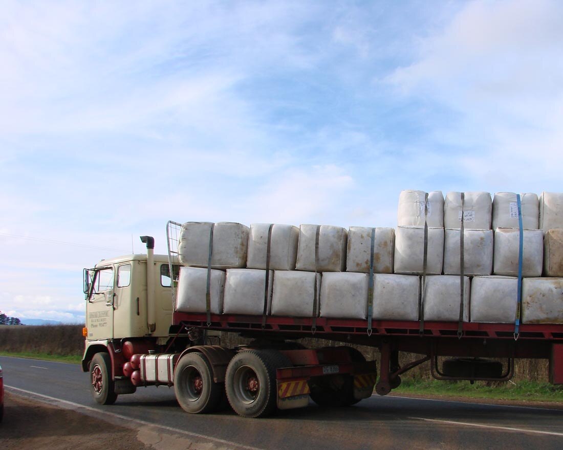 Wool price spikes 11 percent in two weeks - ABC News