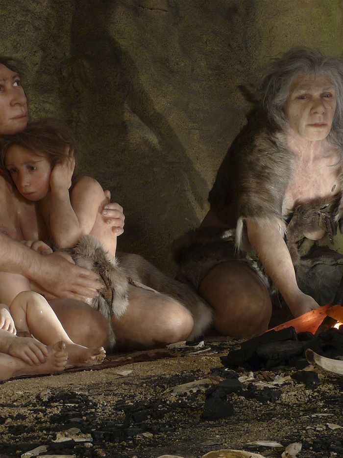 Human interbreeding with neanderthals may have caused allergies ...