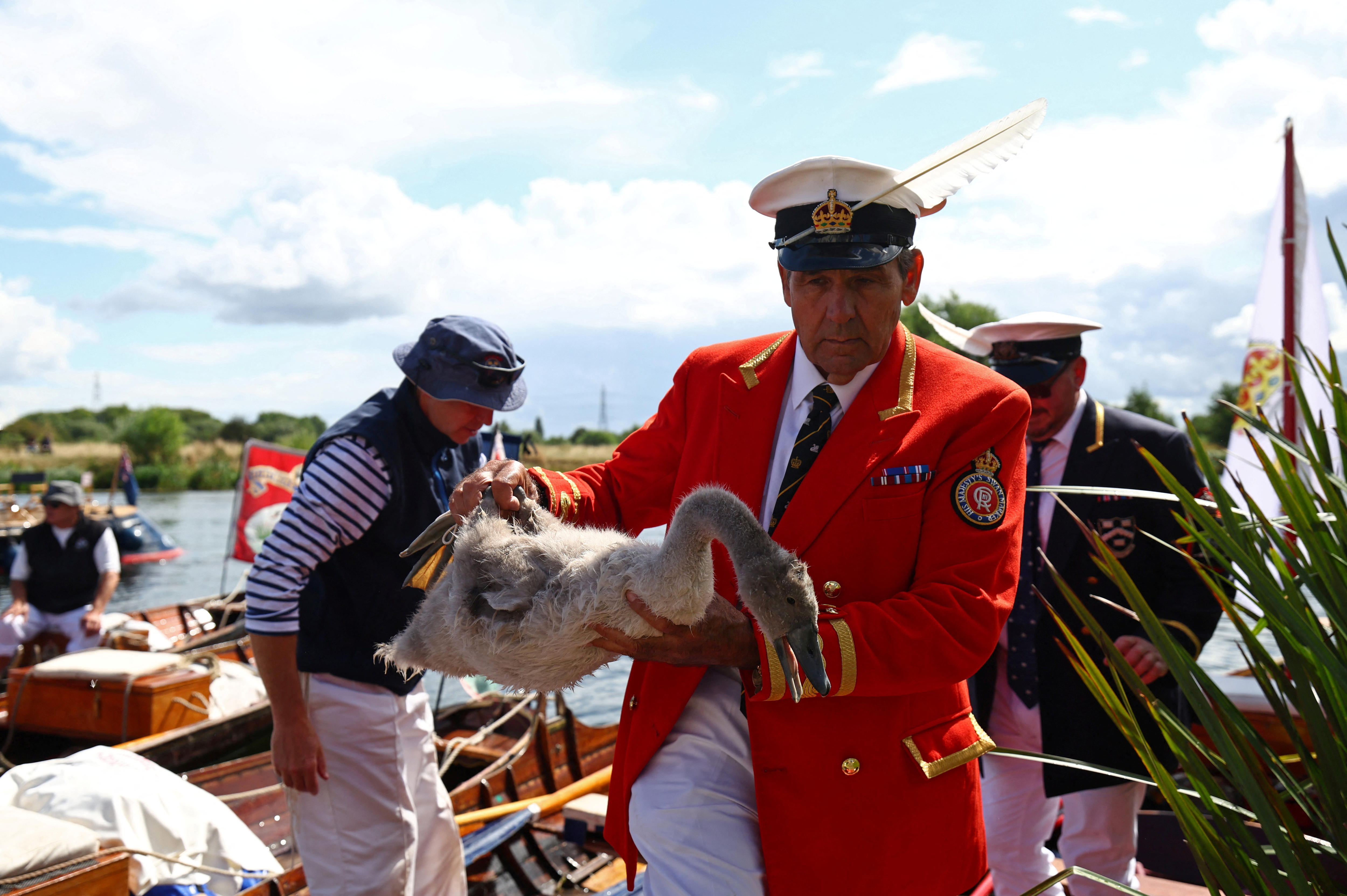 Everything you need to know about 'swan-upping,' the eccentric royal ...