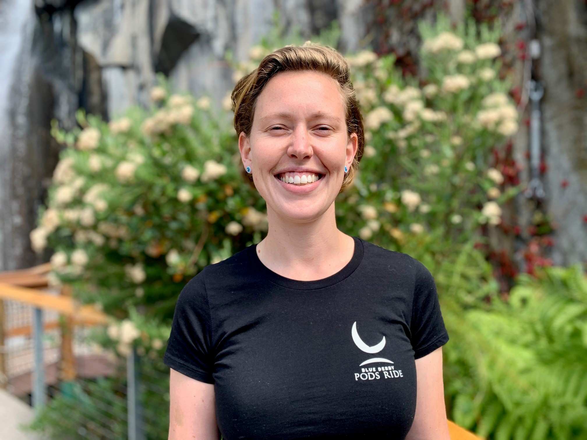 Tasmania's north and north-west to benefit from subsidised flights ...