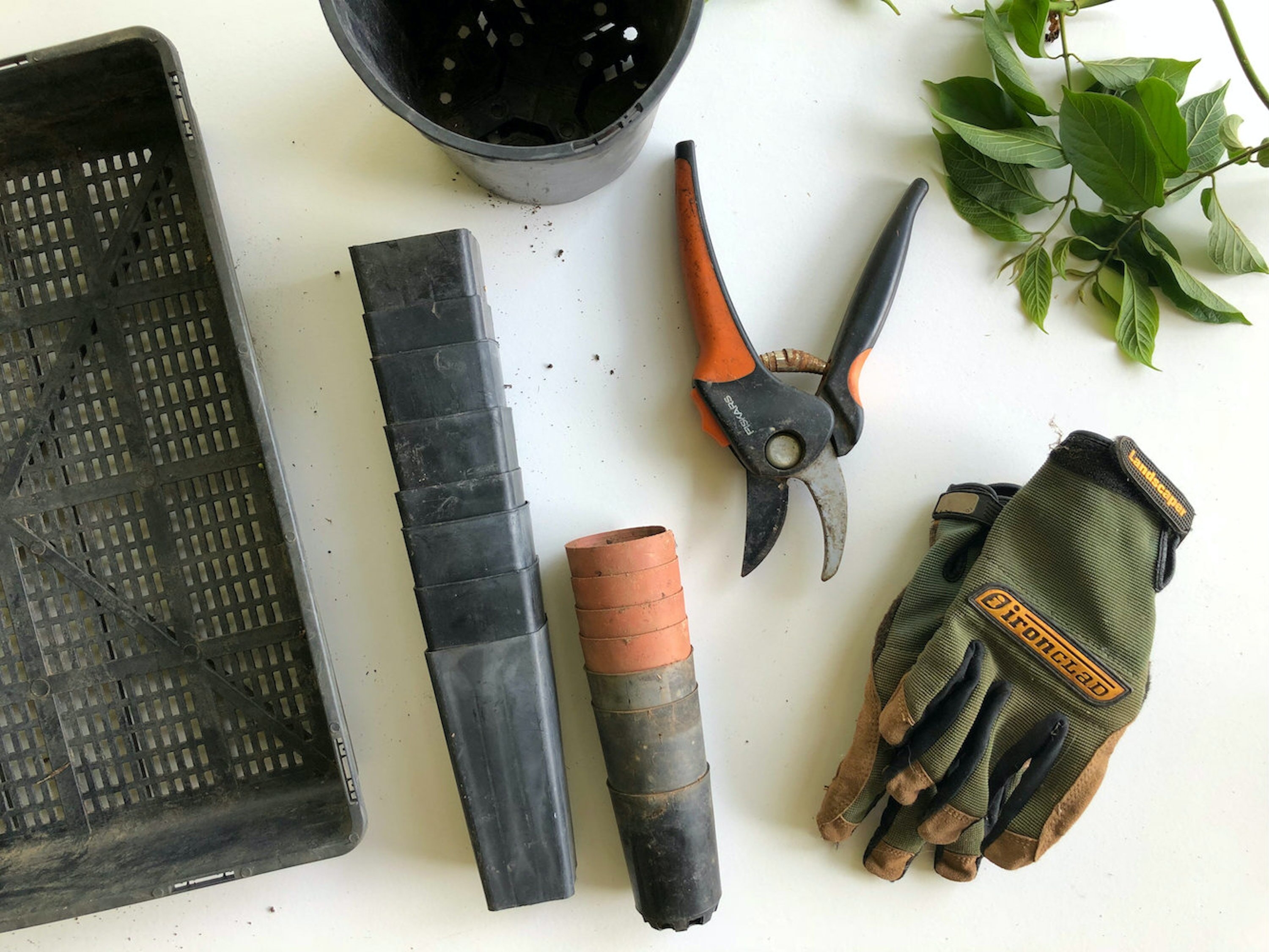 Why it's important to keep your garden tools clean and how to do it ...