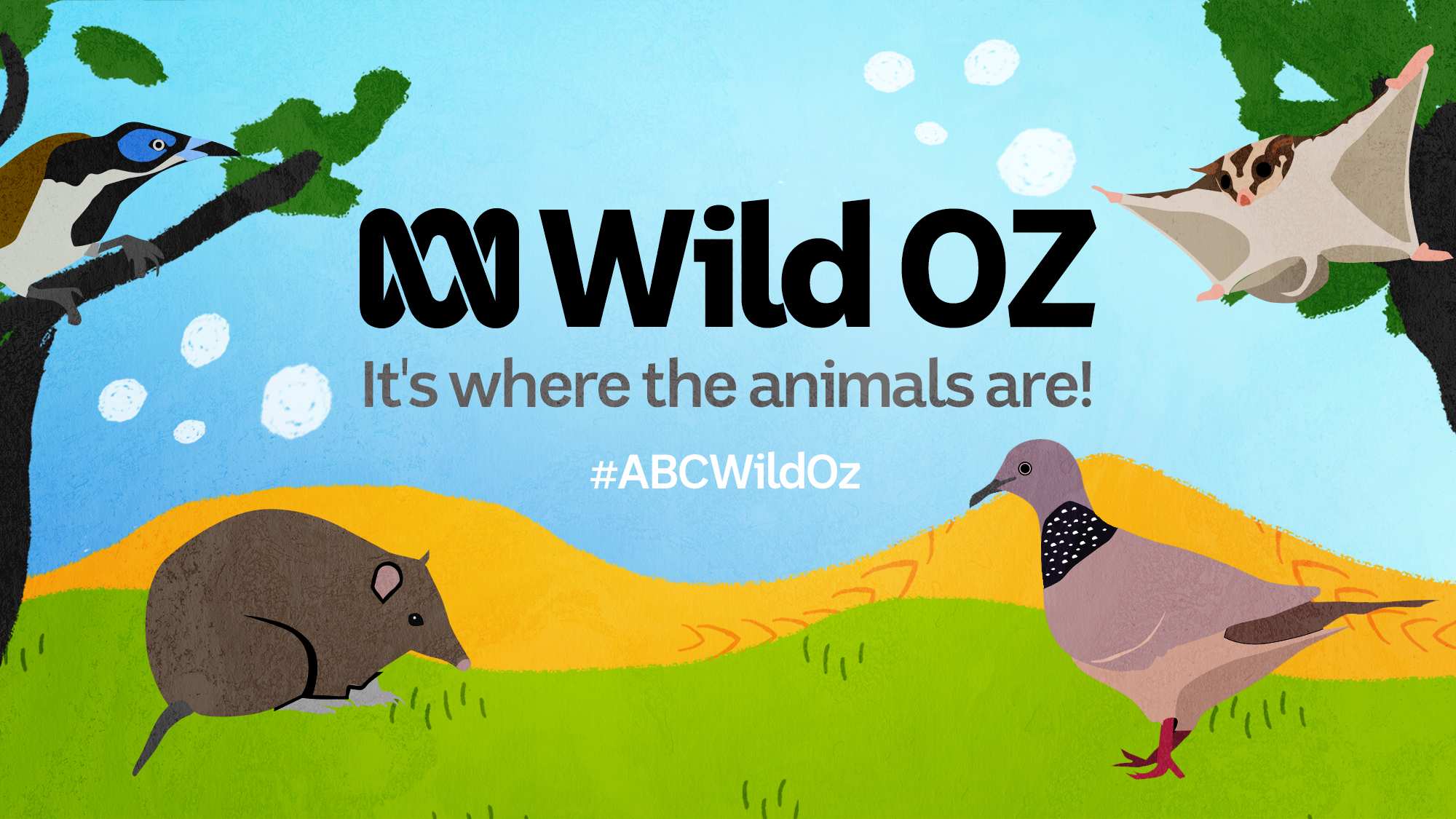 Any wildlife living in your backyard? - ABC Brisbane