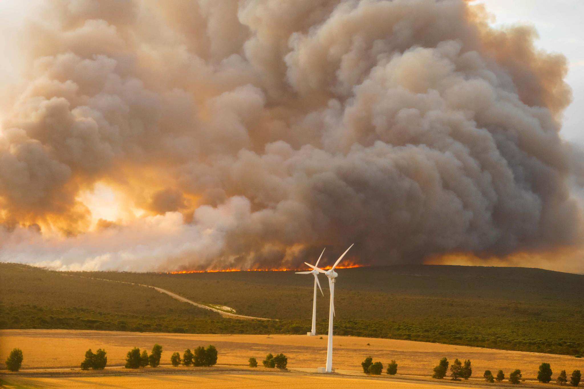 WA fire: fire alert downgraded for Wedge in Dandaragan shire - ABC News