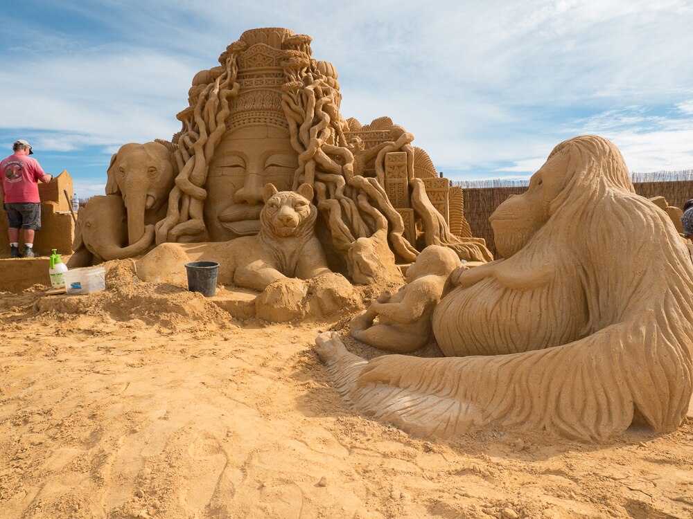 Sculptors raise zoo animals from sand at Port Noarlunga for school ...