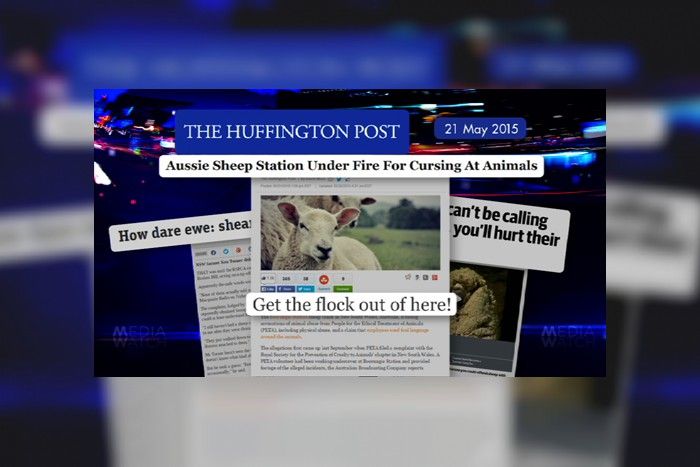 ABC sheep story b(l)eat up - Media Watch