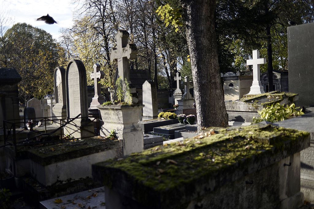Mortality - ABC Radio National
