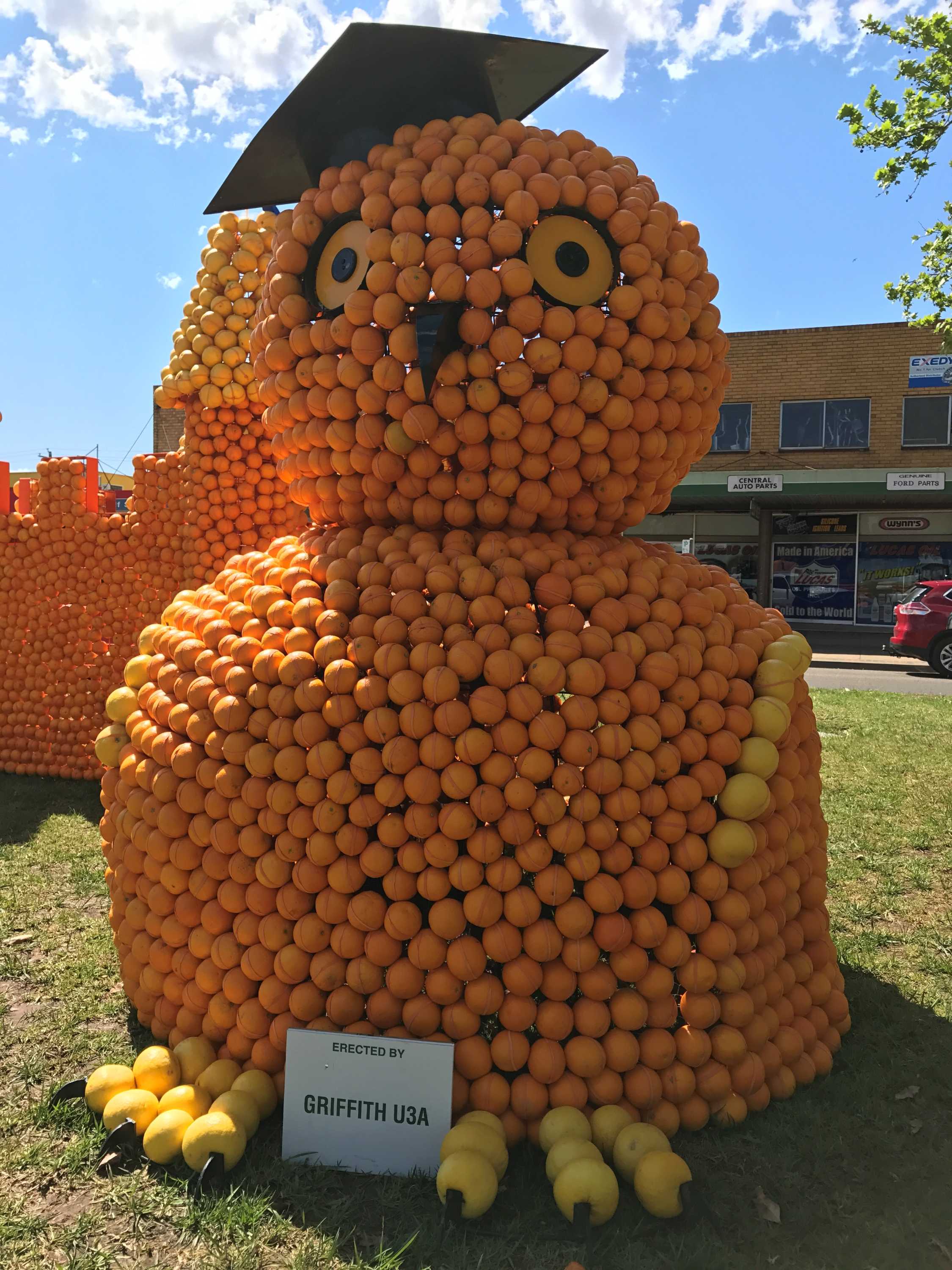 Citrus sculptures to squeeze thousands of visitors into Griffith's ...