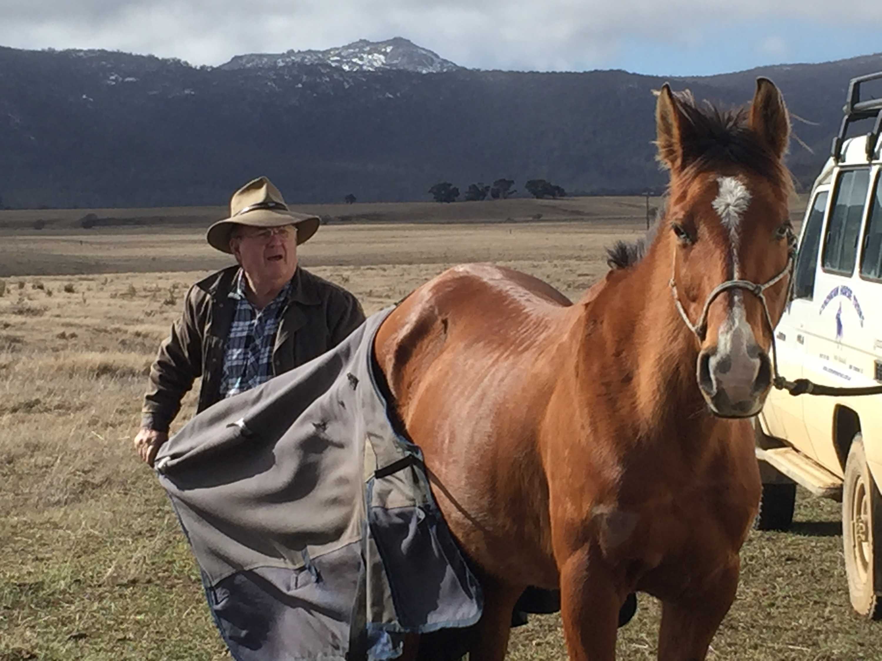 Controversial brumby protections a 'skilful use of democracy' says ...