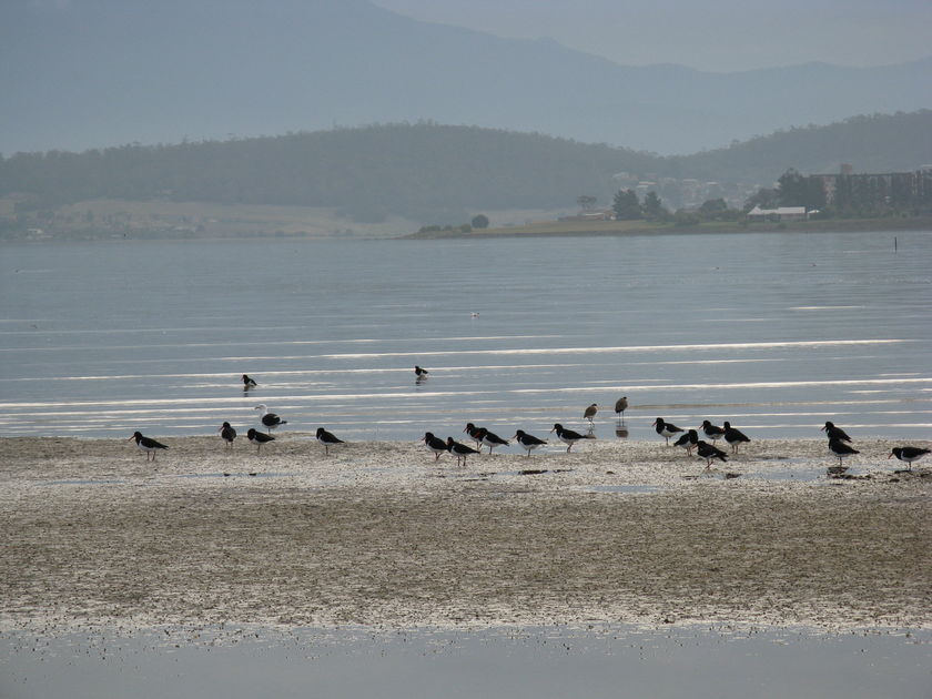 Ralphs Bay plans on display - ABC News