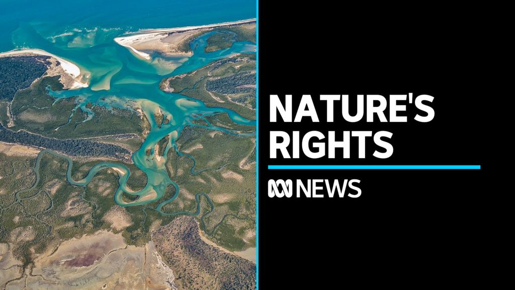 Movement to legally recognise the environment as a person - ABC News