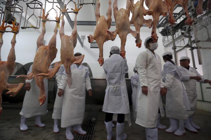 Poultry workers denied bathrooms breaks resort to wearing nappies ...