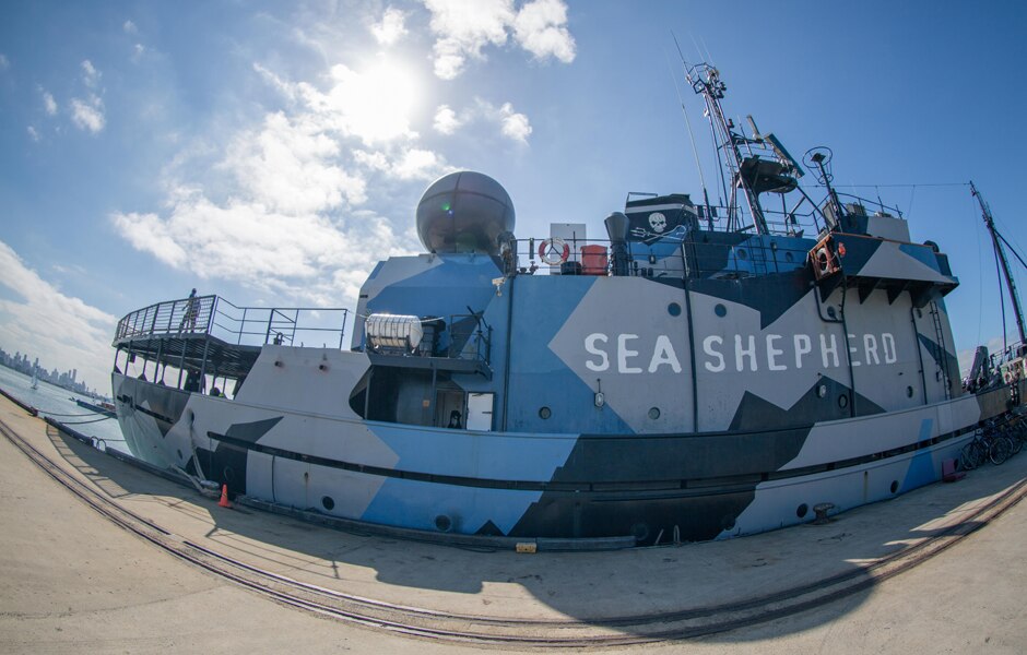 Sea Shepherd: Vigilantes of the ocean - ABC News