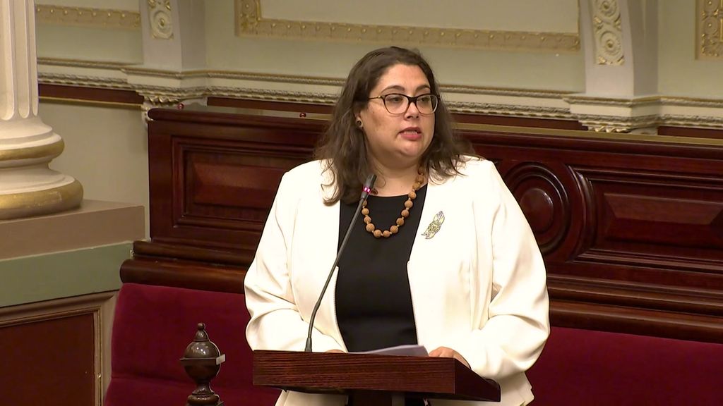 Labor MP Sheena Watt's powerful speech on the decriminalisation of ...