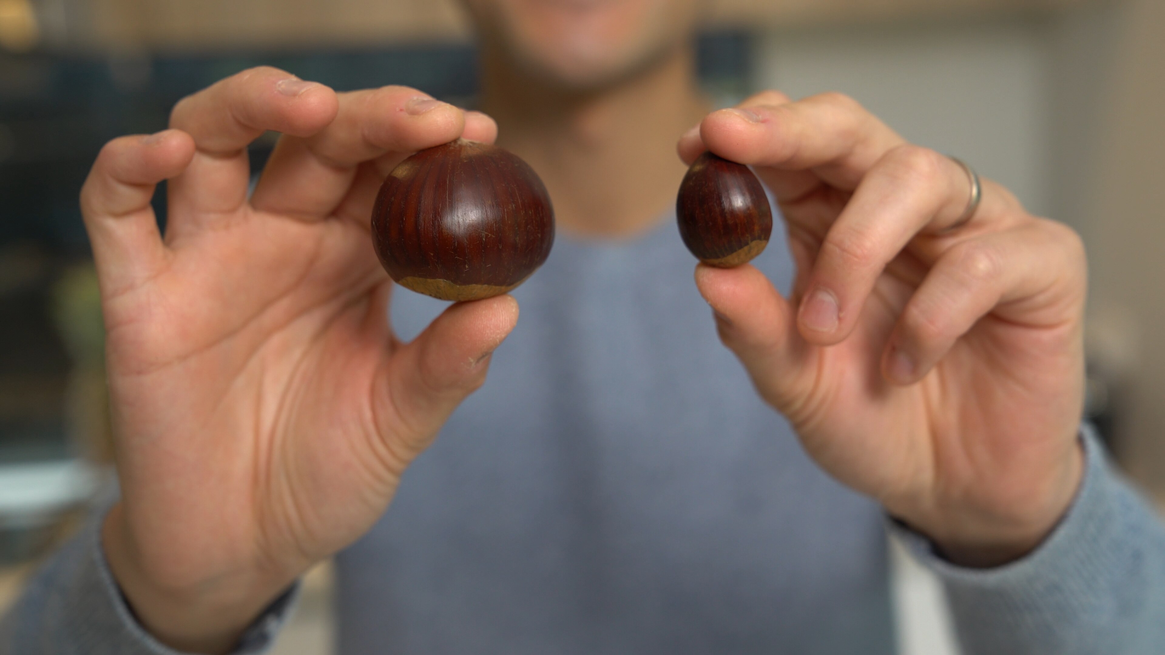 How to prepare and cook chestnuts - ABC News