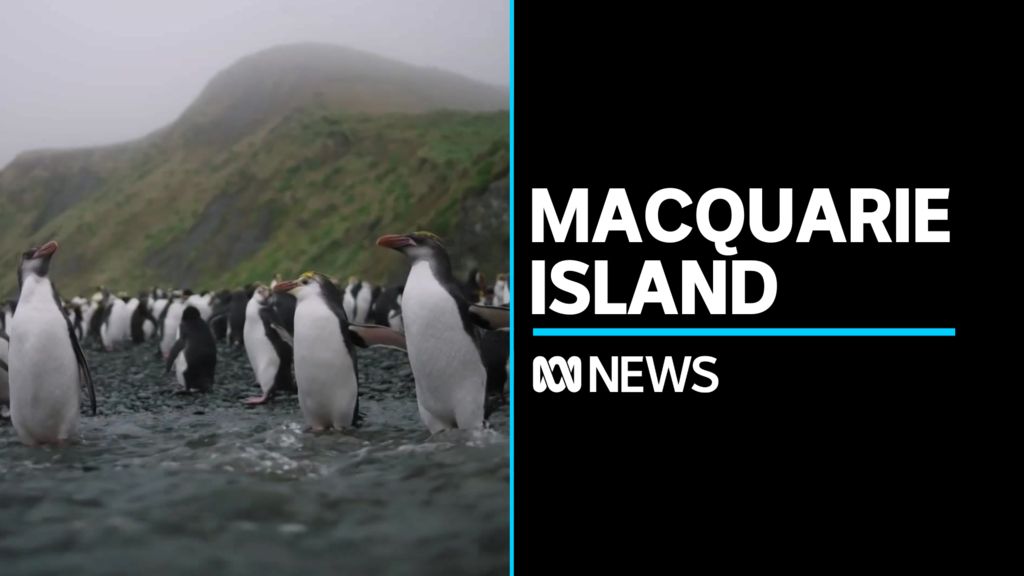 James Shugg speaks to The Business - ABC News