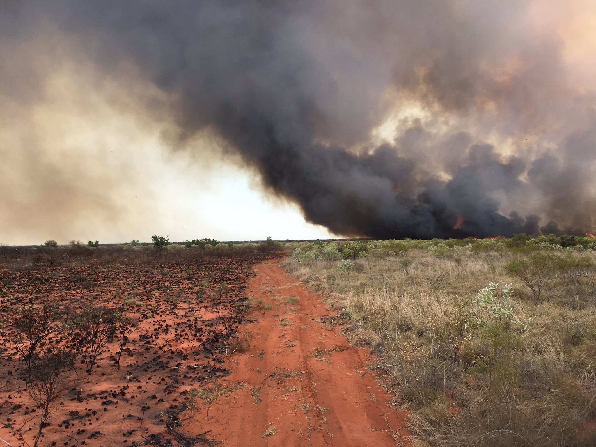 Worst fire season in a decade: Kimberley counts the cost of 300 ...