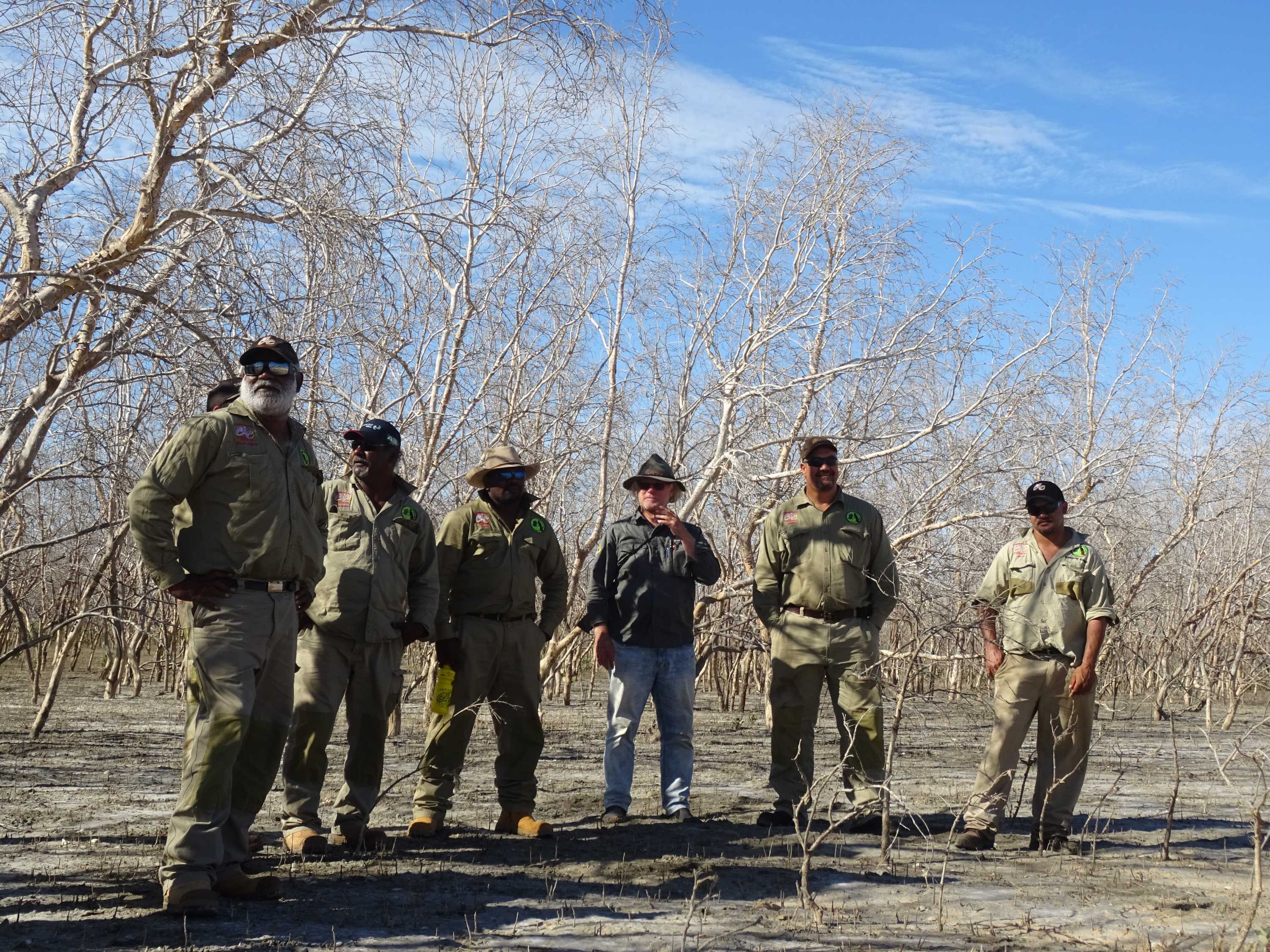 Indigenous rangers undergo training to monitor mangrove dieback in Gulf ...