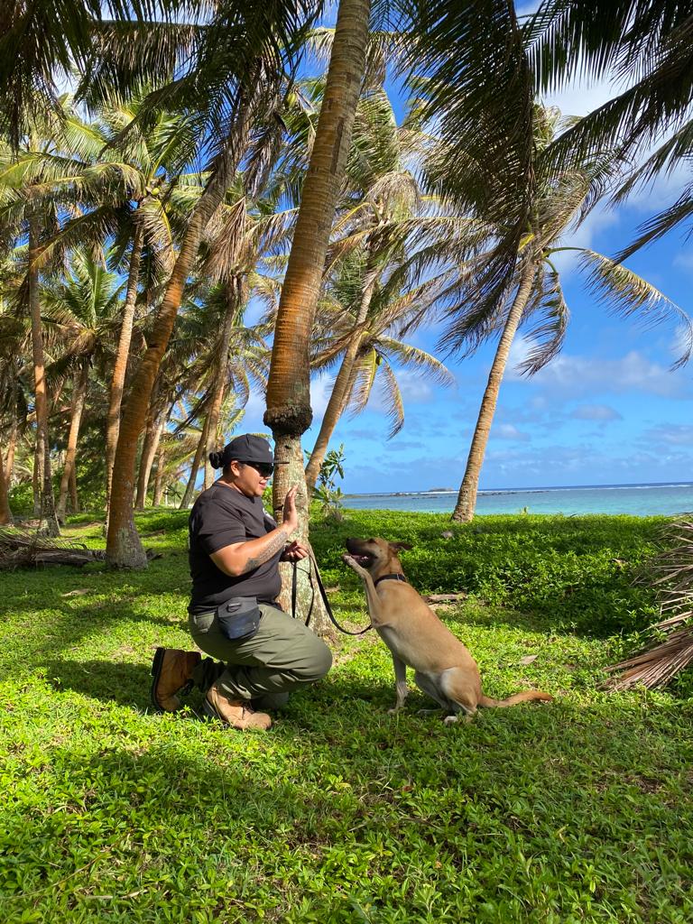 Guam recruits furry friends to 'sniff out' dangerous rhinoceros beetle ...