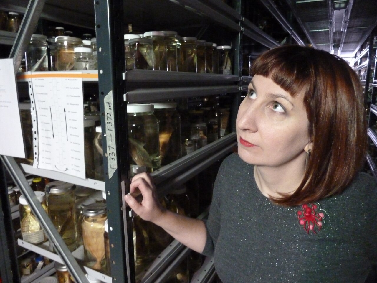 How being a Top 5 Under 40 scientist in residence changed my career ...