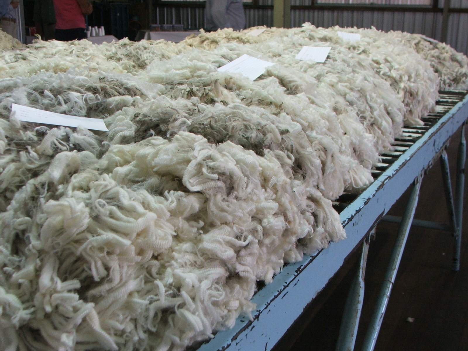 Superfine wool growers need to market ethical production to encourage ...