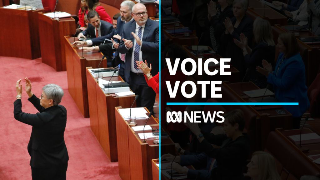 Indigenous Voice to Parliament Referendum - ABC News