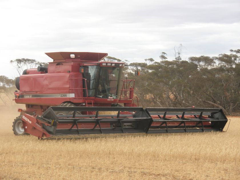 SA crop yields slashed by extreme weather - ABC News
