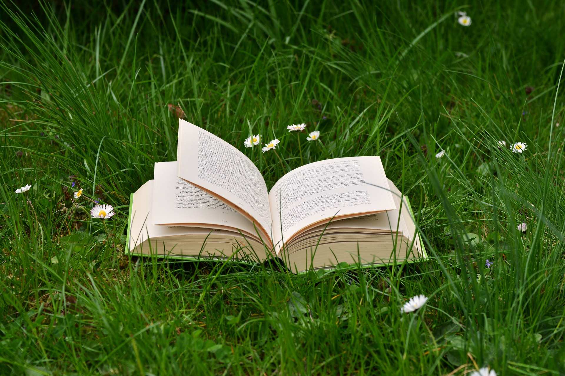 An Australian study reveals who's reading what, and whether we're ...