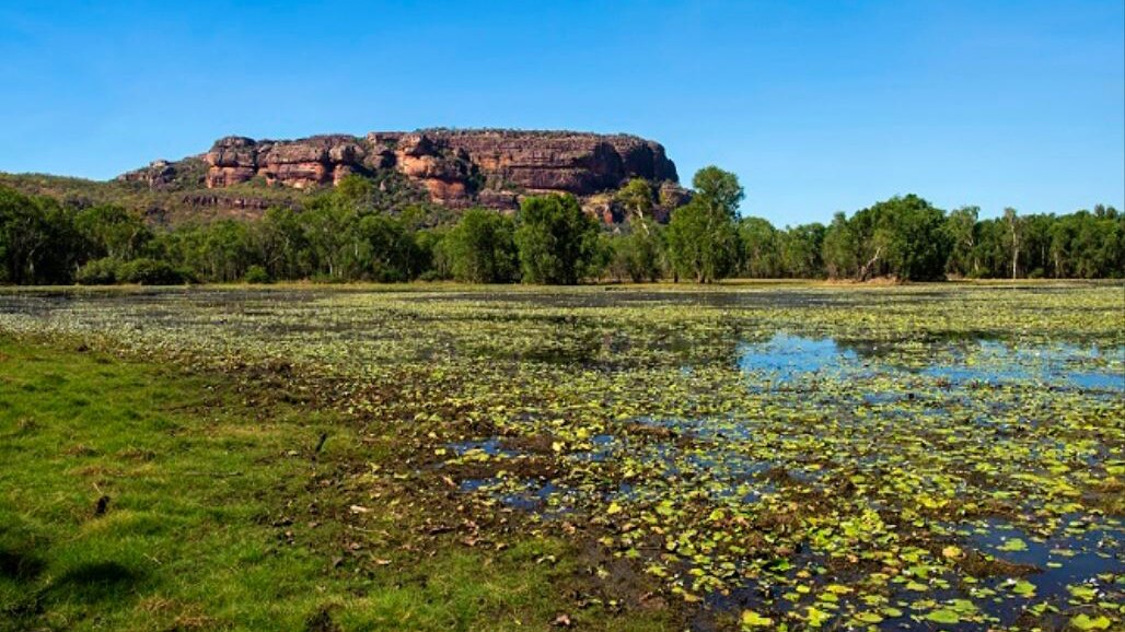 Kakadu seasons - ABC Education