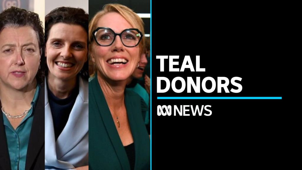 Teal independents spent $10.2 million to win Liberal seats - ABC News